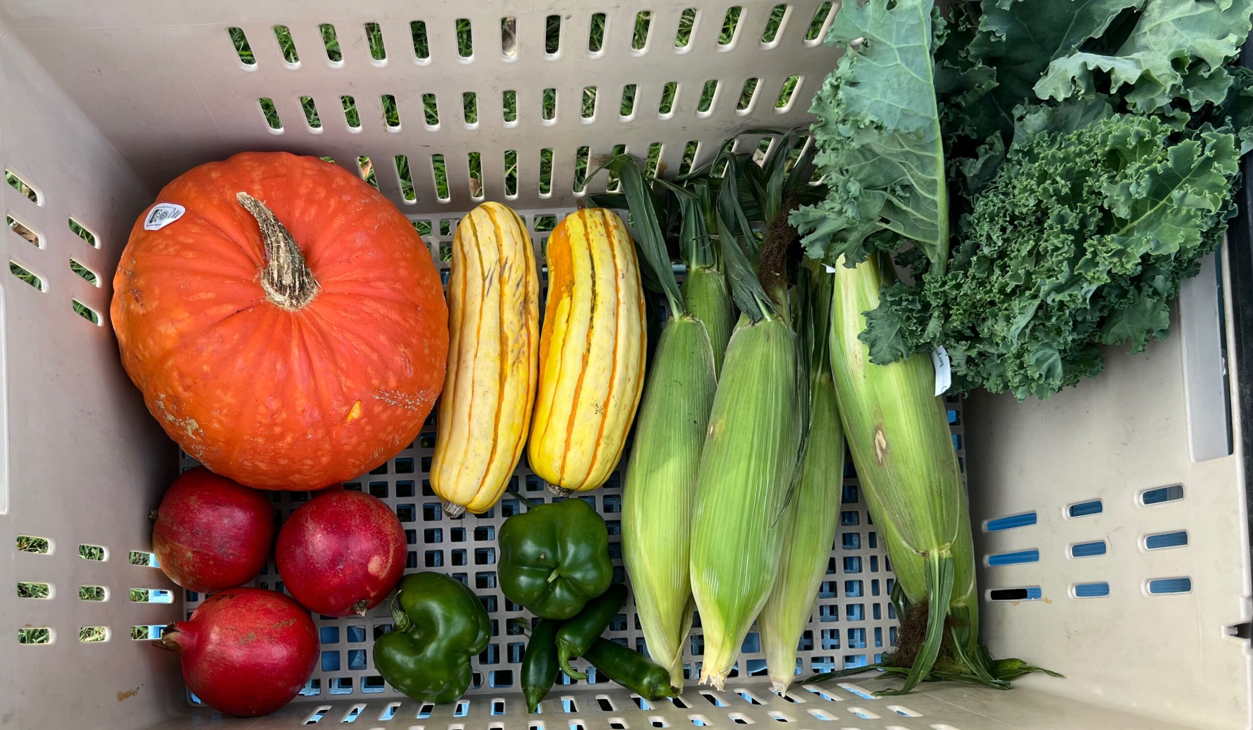 The universal language you can taste: How food blends its way into the ...